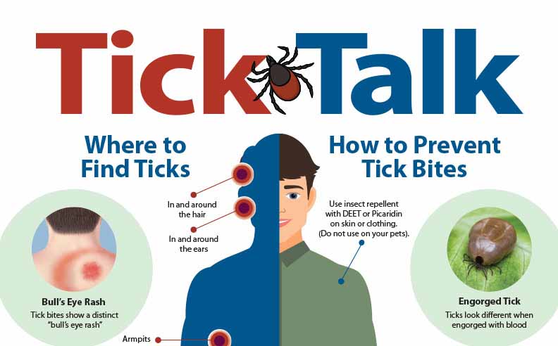 Putting the Bite on Ticks | Pier 8 Group