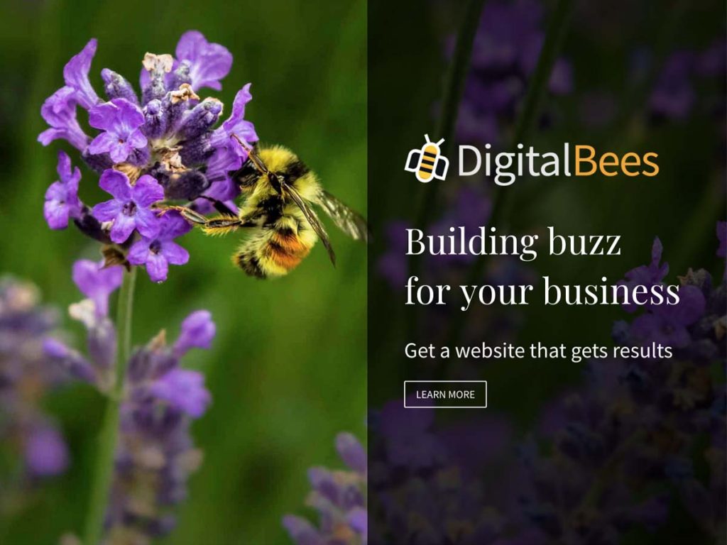 What's the buzz on Digital Bees? | Pier 8 Group